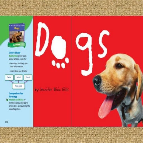 Storytown Dogs | PPTX