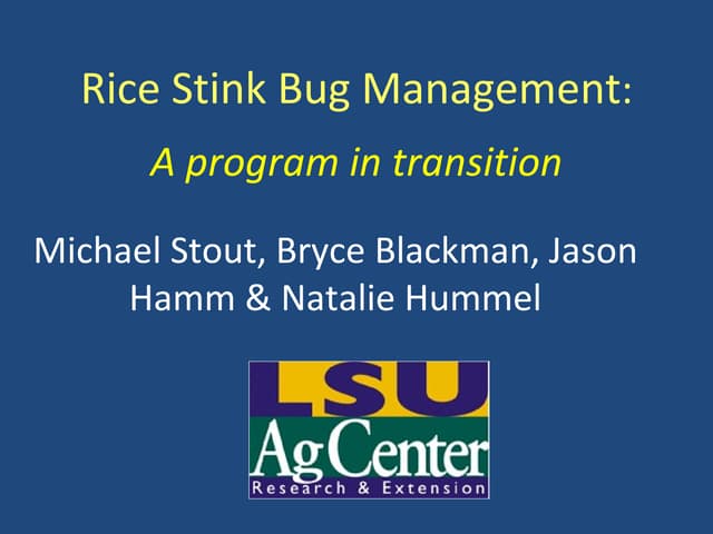 Lifecycles And Internal Anatomy Hummel | PPT