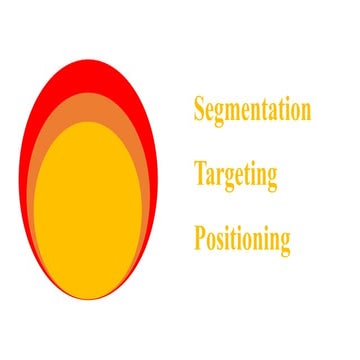 Segmentation - Targeting - Positioning | PPT