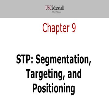 Segmentation Targeting and Positioning ppt | PPTX