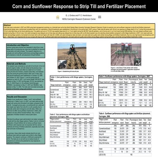 Corn and Sunflower Response to Strip Till and Fertilizer Placement | PPT