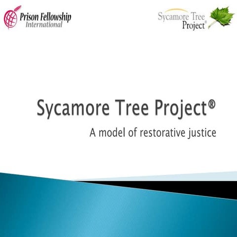 Sycamore Tree Project® around the world | PPT