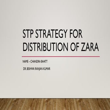Comprehensive STP Strategy and Distribution Analysis for Zara's Fast ...