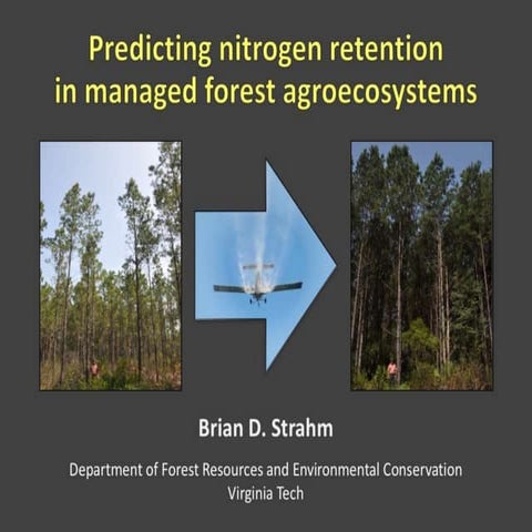 Predicting Nitrogen Retention | PPT