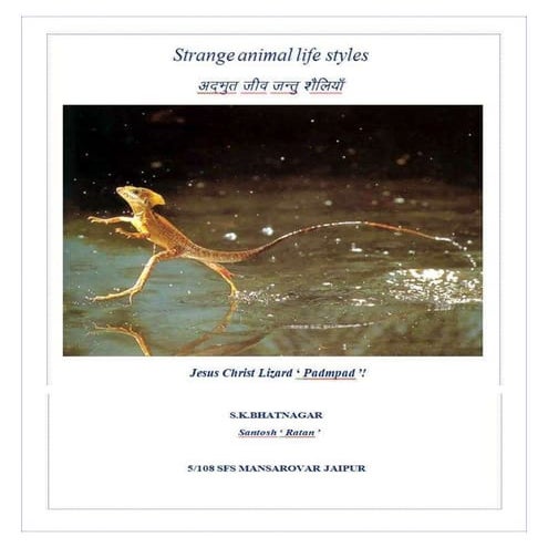 Strange animal life styles Adbhut jeevjantu shailiyan Cover prayer ...