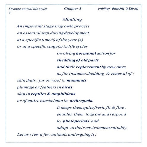 Strange animal life styles adbhut jeevjantu shailiyan chapter3.2 ...