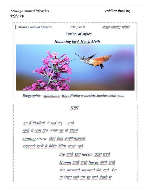 Strange animal lifestyles Adbhut jeevjantu shailiyan Chapter 12 offense ...