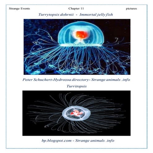 Strange Events In Bio World chapter 11 Bioimmortality pictures | DOCX ...