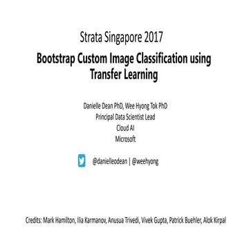 Bootstrap Custom Image Classification using Transfer Learning by Danielle Dean and Wee Hyong at ...