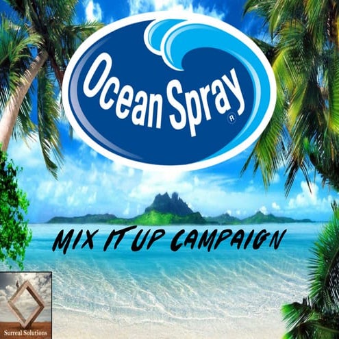 Ocean Spray Strategic Plan | PDF
