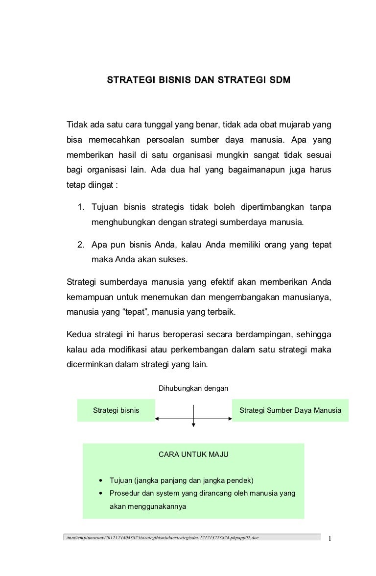 Strategi bisnis dan strategi sdm