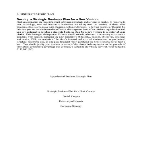 Strategic business plan | PDF