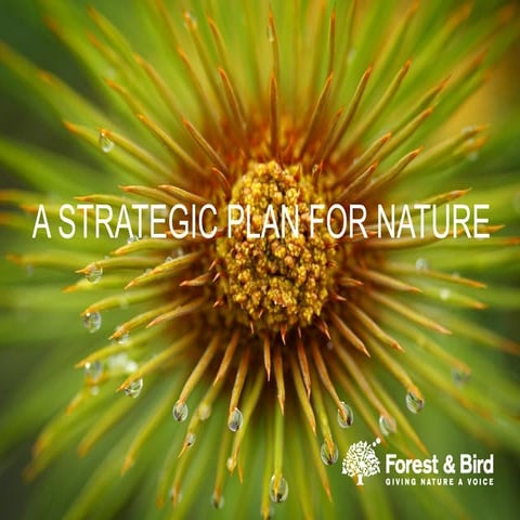 DRAFT NRW Recreation Strategy - People and Nature thriving together | PDF