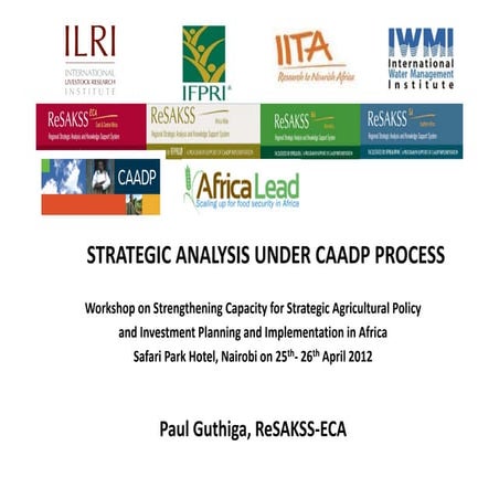 Strategic policy analysis 24 06 | PPT