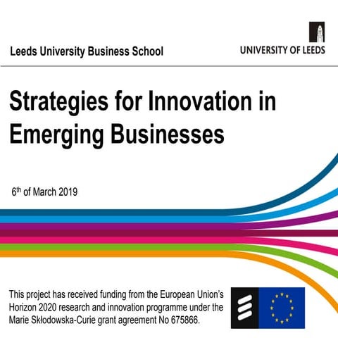 Strategies for Innovation in Emerging Businesses (27.02.2019).pptx
