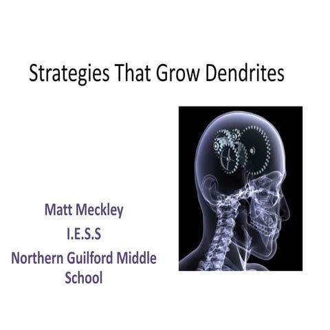 Strategies that grow dendrites | PPT