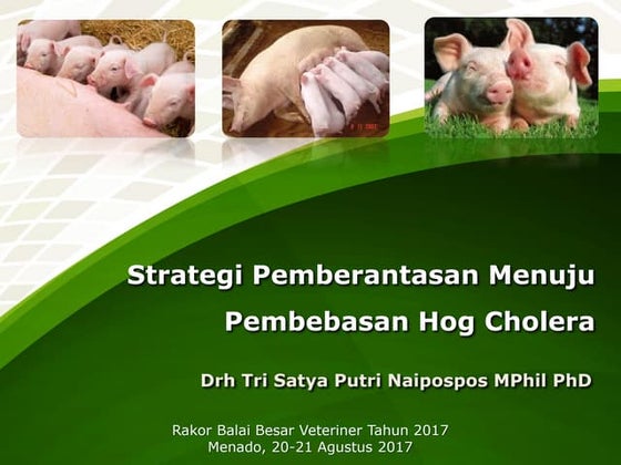 Tinjauan Pembebasan Hog Cholera di Indonesia - BVet Bukittinggi ...