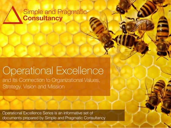 Operational Excellence | PDF