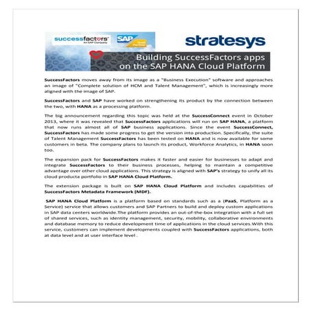 SAP SuccessFactors Instance.pdf