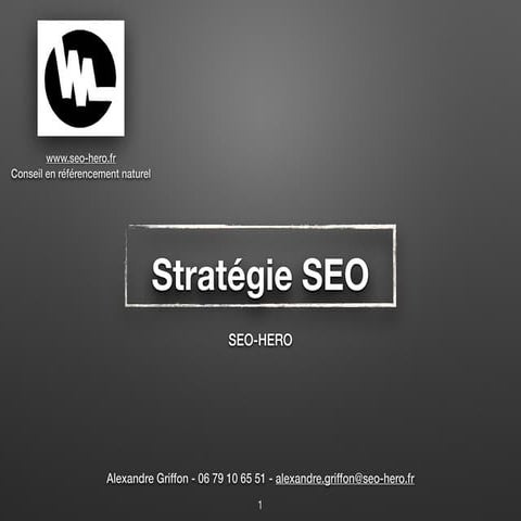 Seo hero | PDF