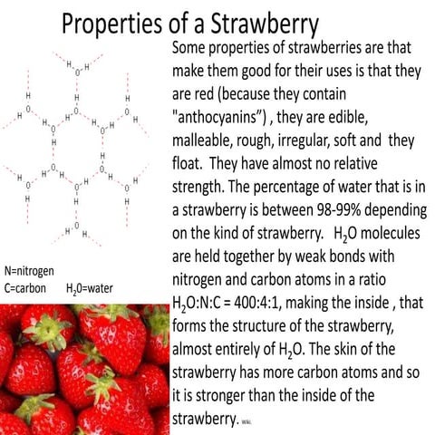Strawberries | PPTX