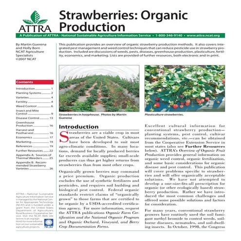 Strawberries: Organic Production | PDF