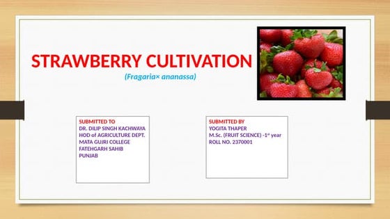 Strawberry production technology | PPTX | Gardening | Home & Garden