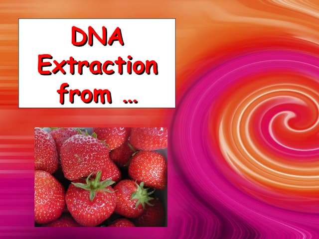 Extracting DNA from strawberries | PPTX