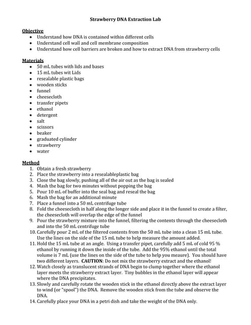 Strawberry dna | PPT
