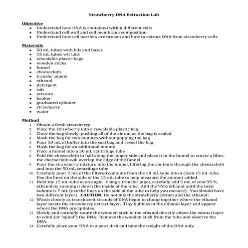 Strawberry dna extractionlab.docx