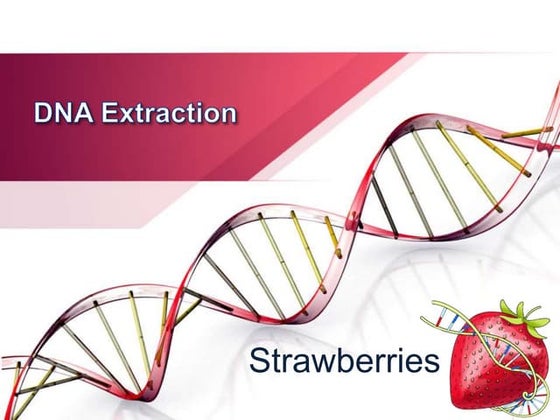 Tutorial iii dna extraction | PPT