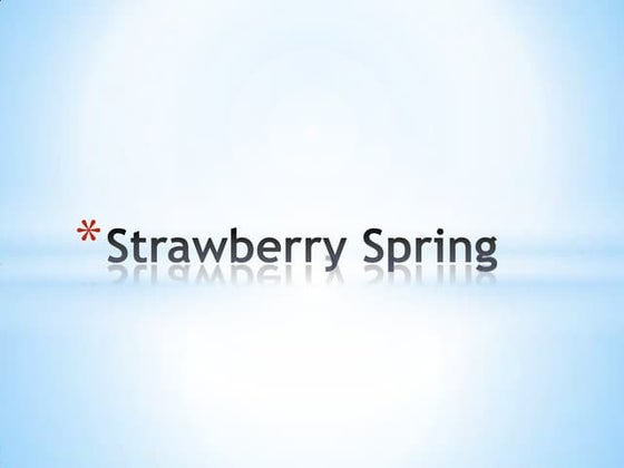 Presentation Səhifələr | PPT