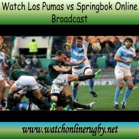 Streaming los pumas vs springbok live | PPT