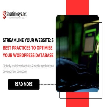 Streamline Your Website 5 Best Practices to Optimise Your WordPress Database.pdf