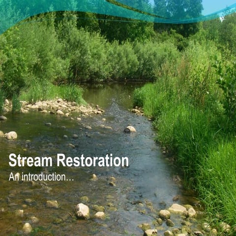 Stream Restoration 101 | PPT