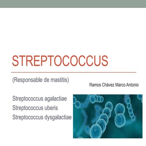 Streptococcus | PPTX