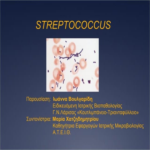 Streptococcus spp | PPT