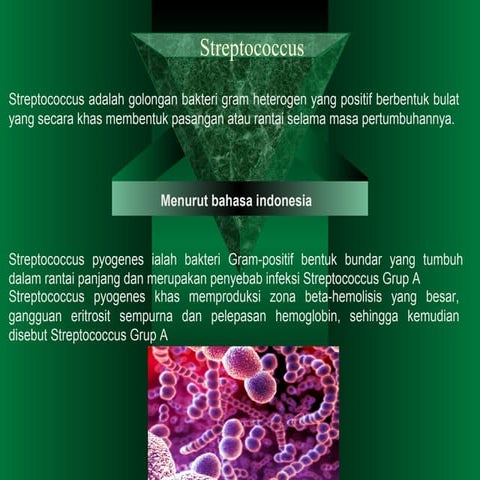 Streptococcus | PPT