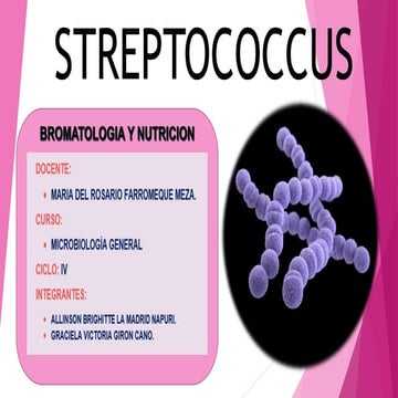 Streptococcus | PPTX