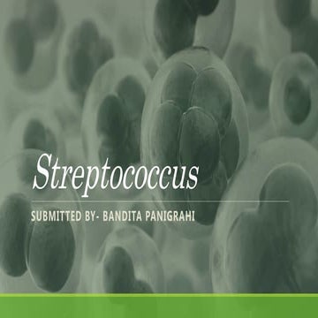 Introduction to streptococcus and a brief review on its species | PPTX