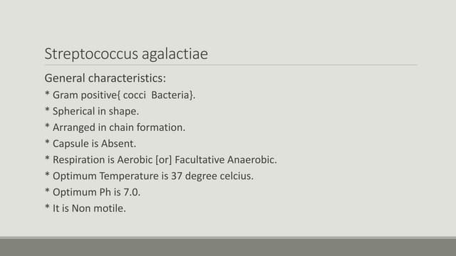 Streptococcus Agalactiae Bacteria Microbiology Lecture | PPTX