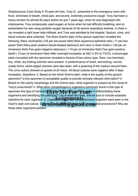 Step 4 Determine the next 3rd largest subnet a What is.pdf