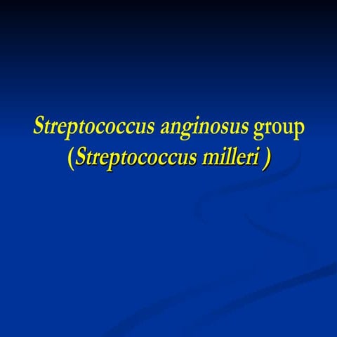 Streptococcus constellatus | PPT