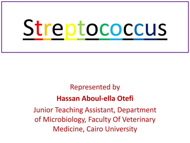 Streptococcus lecture postgraduate students | PPT Streptococcus lecture postgraduate students | PPT