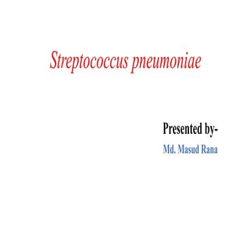 Streptococcus pneumoniae | PPTX