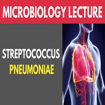 Streptococcus Pneumoniae Bacteria Microbiology Lecture | PPTX
