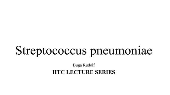 PNEUMOCOCCI PRESENTATION FOR UNDERGRADUATE STUDENTS | PPTX