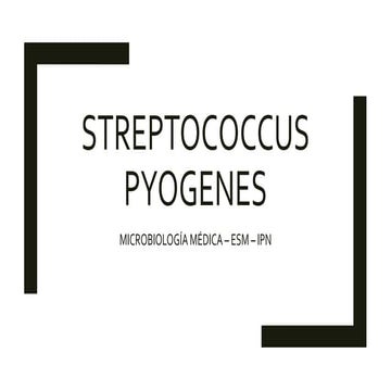 STREPTOCOCCUS PYOGENES | PPTX