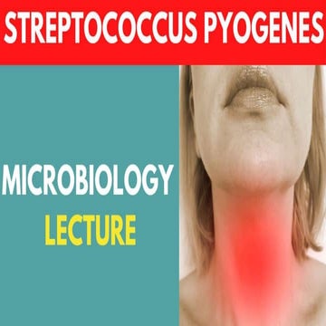 Streptococcus Pyogenes Bacteria Microbiology Lecture | PPTX