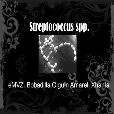 Streptococcus spp. | ODP